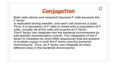 Bacteria Genetics Taxonomy Epidemiology Morphology Ppt