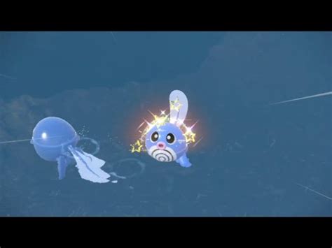 Shiny Poliwag In Pokemon Violet Youtube