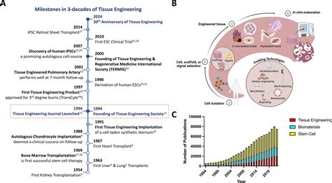 From Promise To Practice Recent Growth In 30 Years Of Tissue