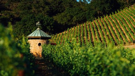 Backus On Track At Joseph Phelps Vineyards