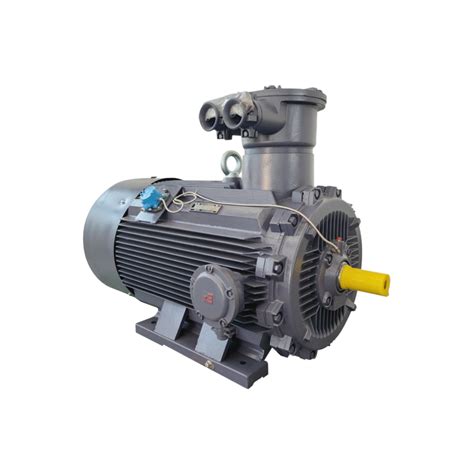 Dellite Ybbp 15kw2hp 2800rpm Flameproof Variable Speed Asynchronous