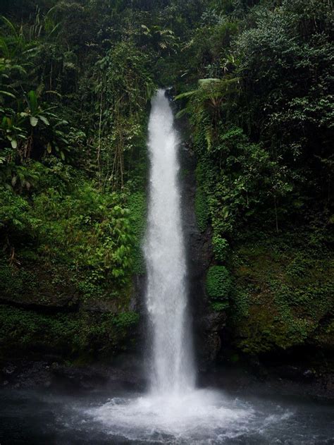 Rainforest Waterfall Wallpapers Top Free Rainforest Waterfall