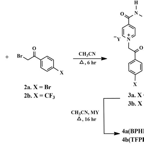 Synthetic Routes For Synthesizing Di Cationic Pyridinium Ionic Liquids Download Scientific