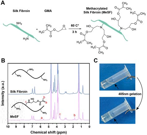 Synthesis And Characterization Of Mesf Download Scientific Diagram