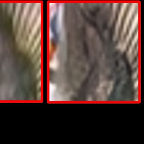 A Synthetic Noise Removal Example For Comparison Dpnas Against Download Scientific Diagram