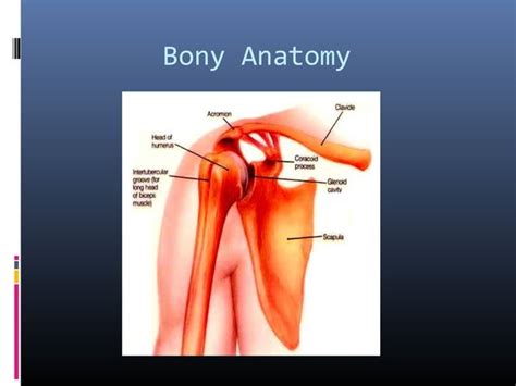 Joint Dislocations For Medical Student Ppt