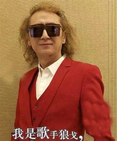 狼戈丨内地男星丨个人资料丨明星档案丨个人简历