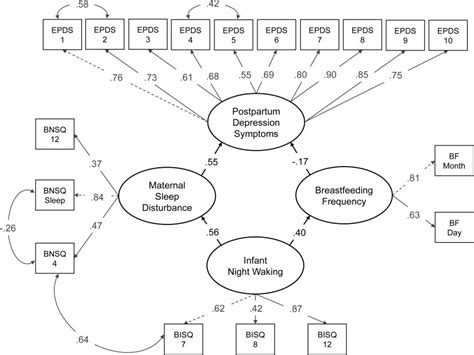 Standardized Estimates For The Adjusted Structural Regression Model Download Scientific