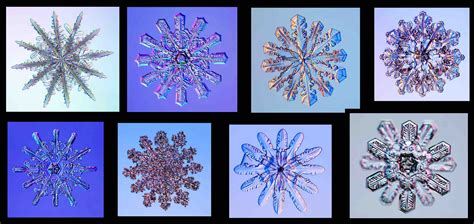 Snowflake Patterns Under Microscope