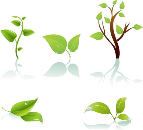 Green Tree Vector At Vectorified Com Collection Of Green Tree Vector Free For Personal Use