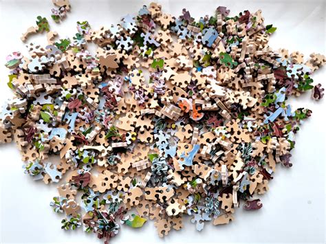 Mr Gogo Puzzles The Forest Of Birds Hand Cut Wooden Jigsaw Puzzle