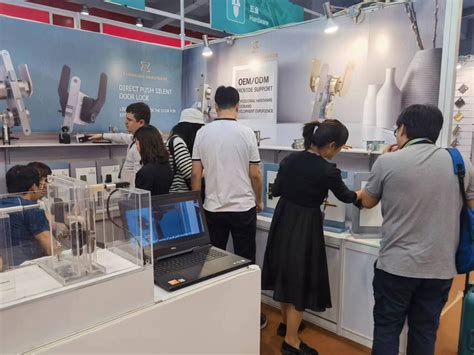 High Quality Unique Type On Market Push Pull Door Locks For Indoor Door