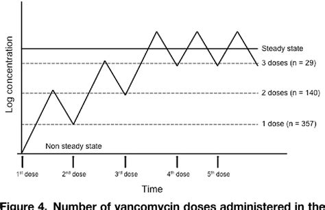 Vancomycin Steady State