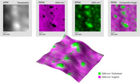 Pif Ir Vs Ftir How Useful Is Nano‑spectroscopy Molecular Vista