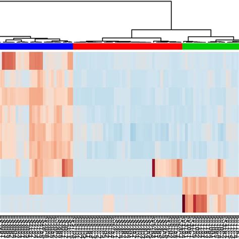 Heatmap Distance Measured By Euclidean And Ward Clustering