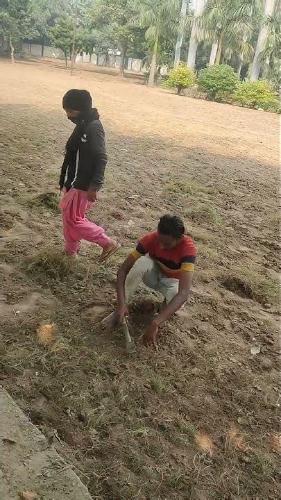 Salection No 1 Loose Grass Youtube