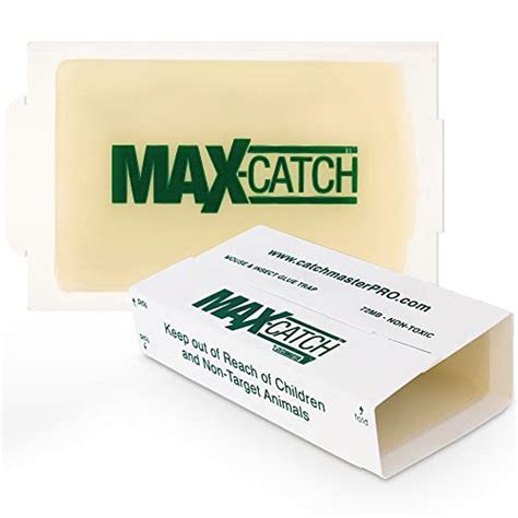 Best Pest Control Traps Buying Guide And Review