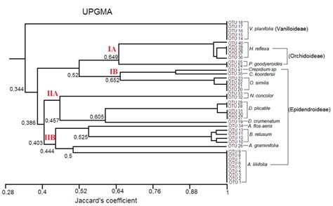 Phenetic Relationship Of Wild Orchids In Gunung Gajah Purworejo