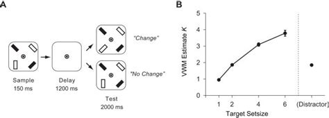 A An Example Trial A Trial Type With Two Targets And Two Distractors Download Scientific