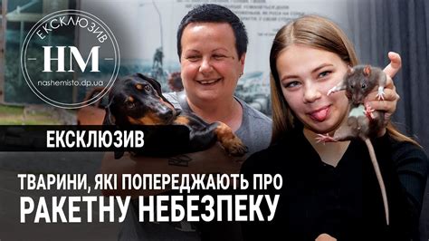 Тварини які попереджають про ракетну небезпеку Youtube