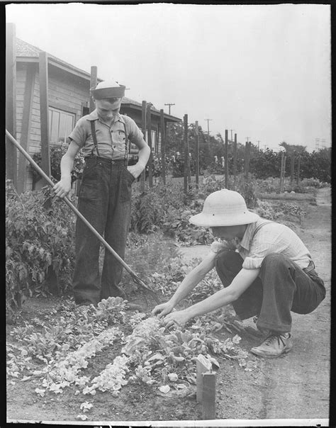 Victory Gardens The Canadian Encyclopedia