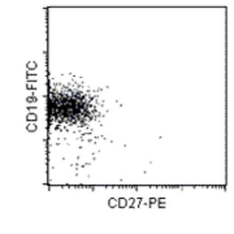 B Cells Human Miltenyi Biotec 日本