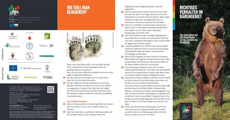 Braunbär Ursus Arctos In Europa Steckbrief Euronatur