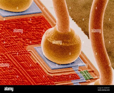 Micro Wires Bonded On A Silicon Chip Coloured Scanning Electron