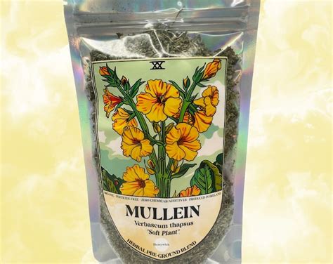 Mullein Png Clip Art Hand Drawn Mullein Illustration Medicinal Plant