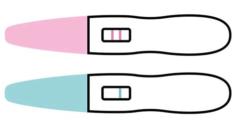 Pregnancy Test Clipart Images