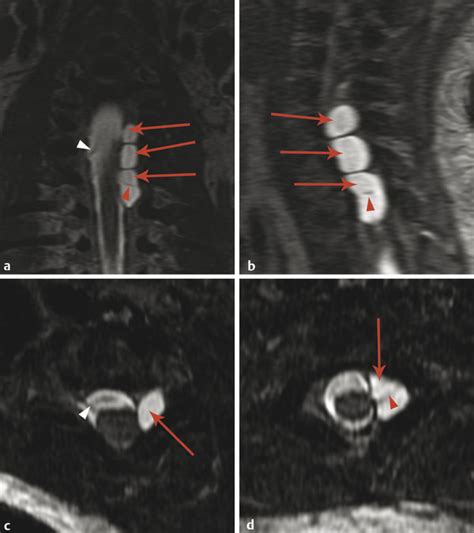 28 Trauma Radiology Key