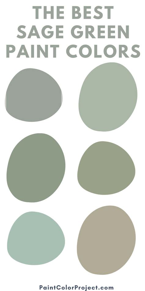 Everything About The Color Sage Green The Paint Color Project