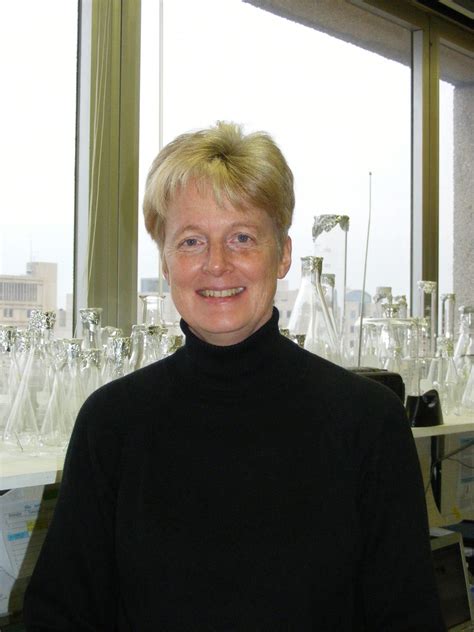 Barbara Vilen Phd Faculty Collaboration Database