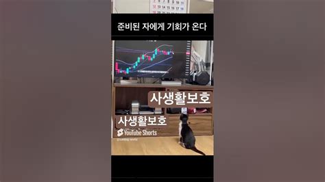 준비된 자에게 기회가 온다 Youtube