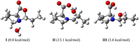 Three Dimensional Structures Of Intermediates I Ii And Iii Optimized
