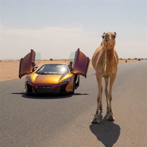 Products Tinybot Vinyl Canada