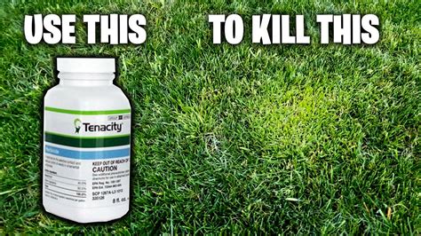 Tenacity Herbicide ~ Pre Post Emergent ~ How To ~ Application Guide ~ Kill Crabgrass Suppress