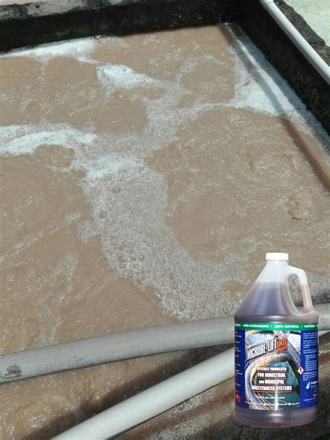 Vi Sinh Vật Pseudomonas Quá Trình Phân Hủy Hiếu Khí