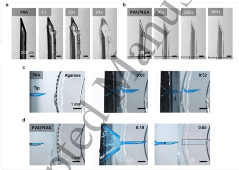 Dissolution And Insertion Characteristics Of Probes A Snapshots Of Download Scientific