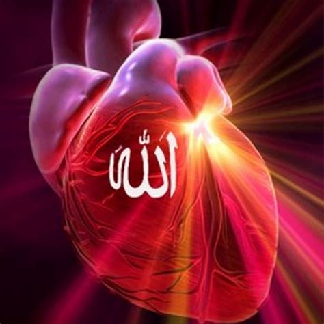 Zikr E Ilahi Youtube