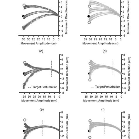 6 Three Phases Of The Sternberg Verbal Working Memory Task And