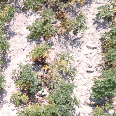 Rgbaugmenteddetector Object Detection Dataset By Szymon