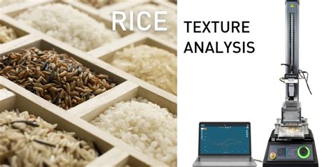 Mecmesin Webinar Rice Texture Analysis