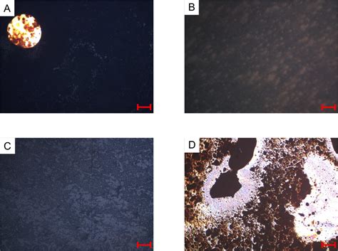 In Situ Visualization Of The Phase Behavior Of Oil Samples Under Refinery Process Conditions