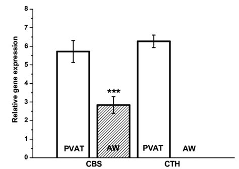 Gene Expression Of Cystathionine Beta Synthase Cbs And Cystathionine Download Scientific