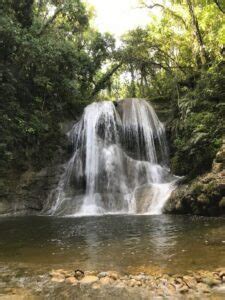 San Sebastián Puerto Rico 2024 Guide All You Need To Know