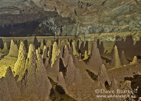 Helictites National Speleological Society