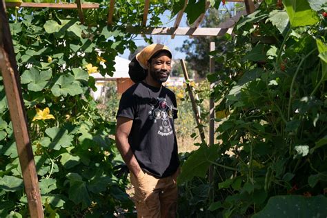 Four Farms In Oakland Where Food Justice Takes Root