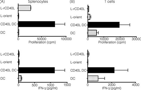 Comparison Of The Allogeneic Response Of Splenocytes And Purified T