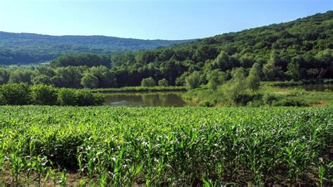 Get Lost In Codru Forests Of Moldova